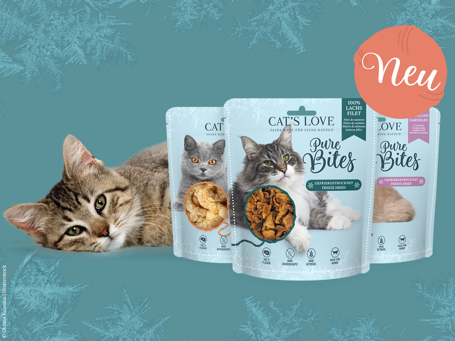 Premium Katzenfutter | CAT’S LOVE.com